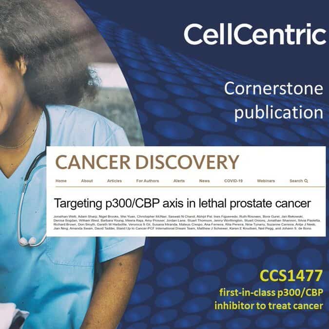 CellCentric candidate CCS1477 Publishes in Cancer Discovery | Seda